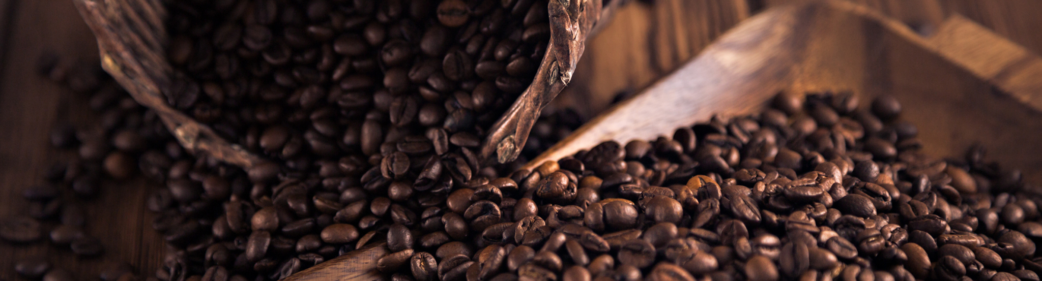 Contact Us – Premium Coffee | Coffee Planet