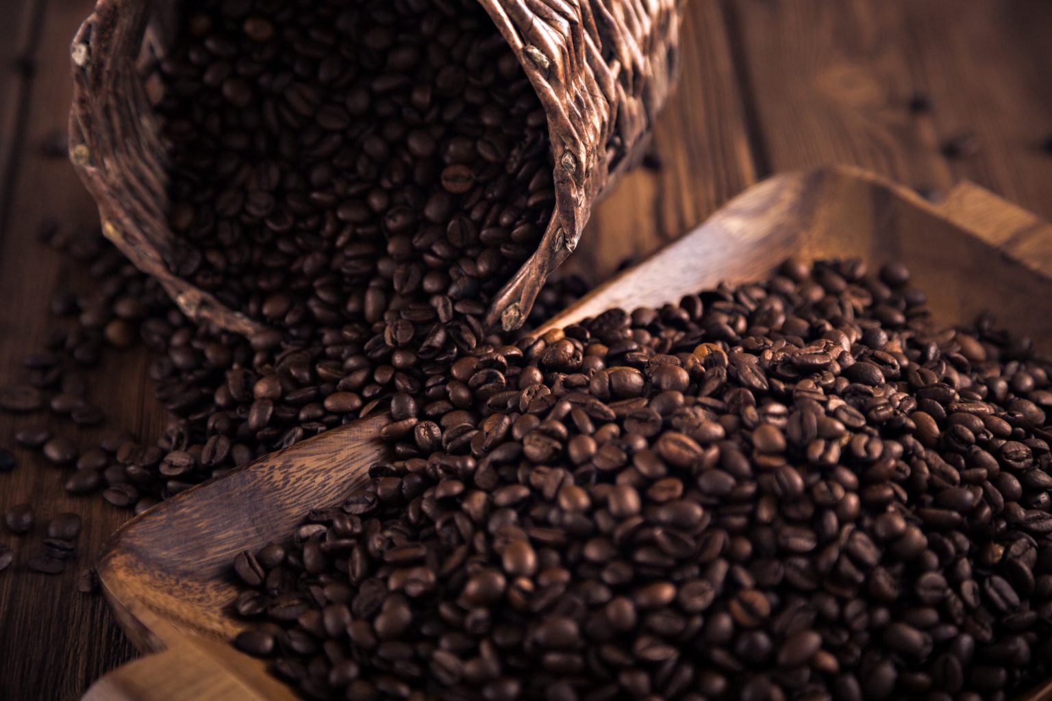 Contact Us – Premium Coffee | Coffee Planet